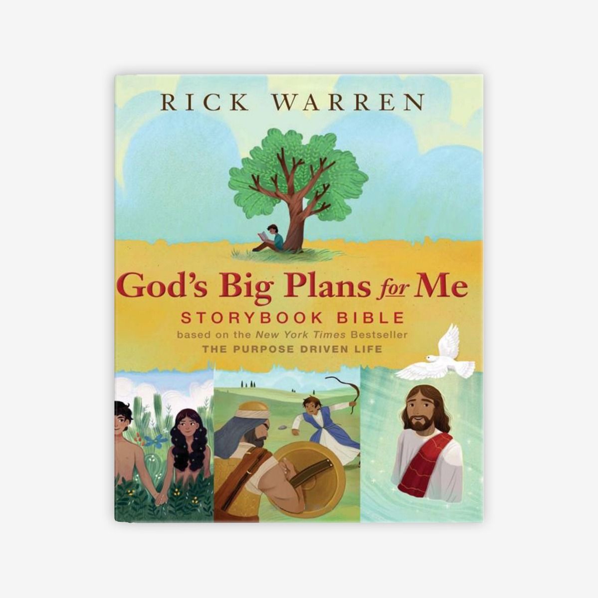 God's Big Plans for Me Storybook Bible – Pastors.com