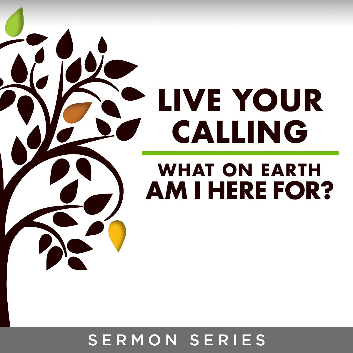 Live Your Calling: What On Earth Am I Here For? – Pastors.com